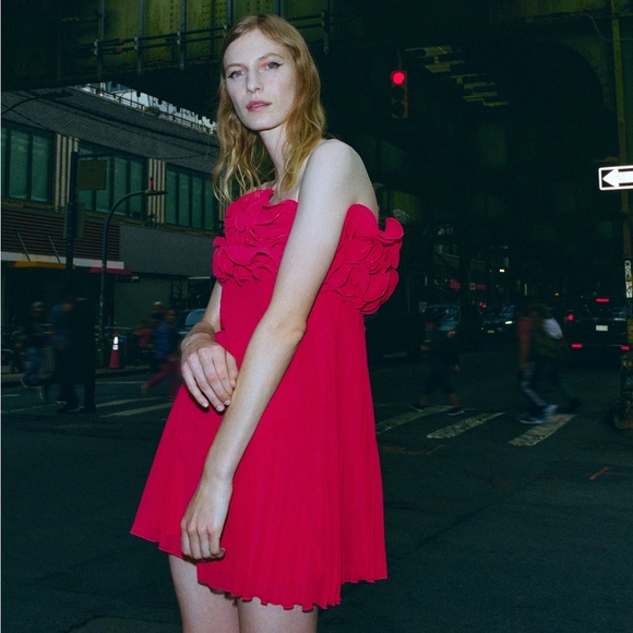 Zara | Dresses | Zara Pleated Ruffle Mini Dress | Poshmark